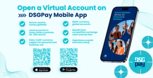 7 Best Types of Large Amount Money Transfers | DSGPay